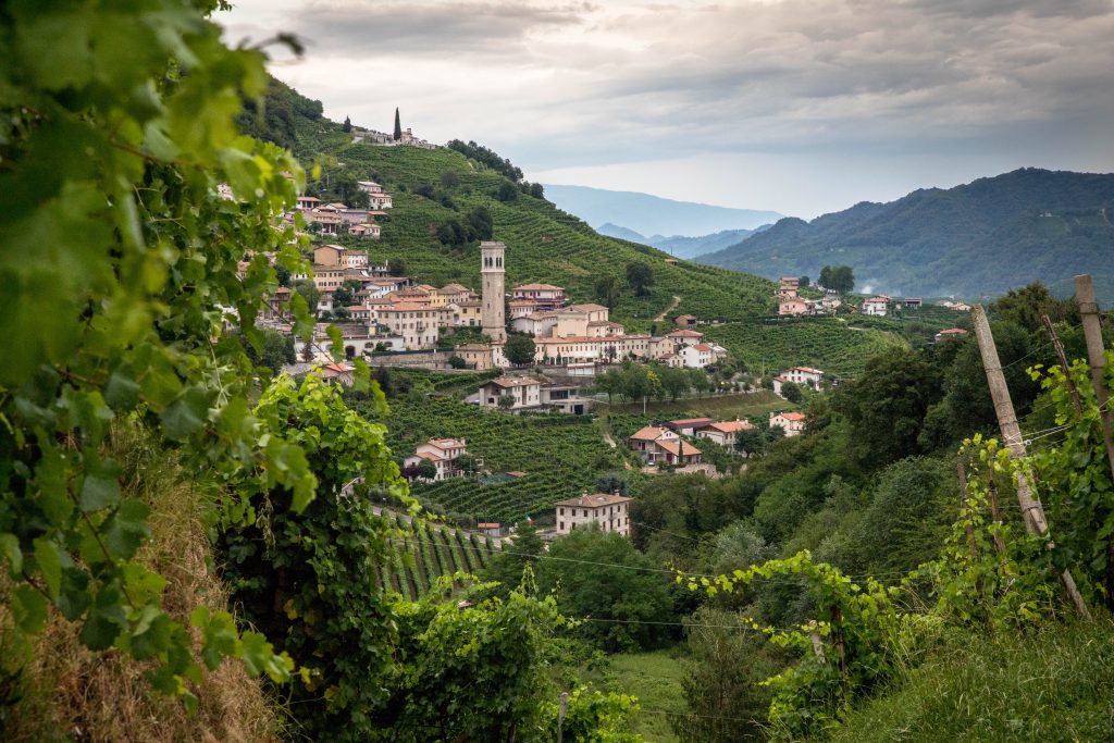 La Glera: un autoctono di successo e non solo Prosecco